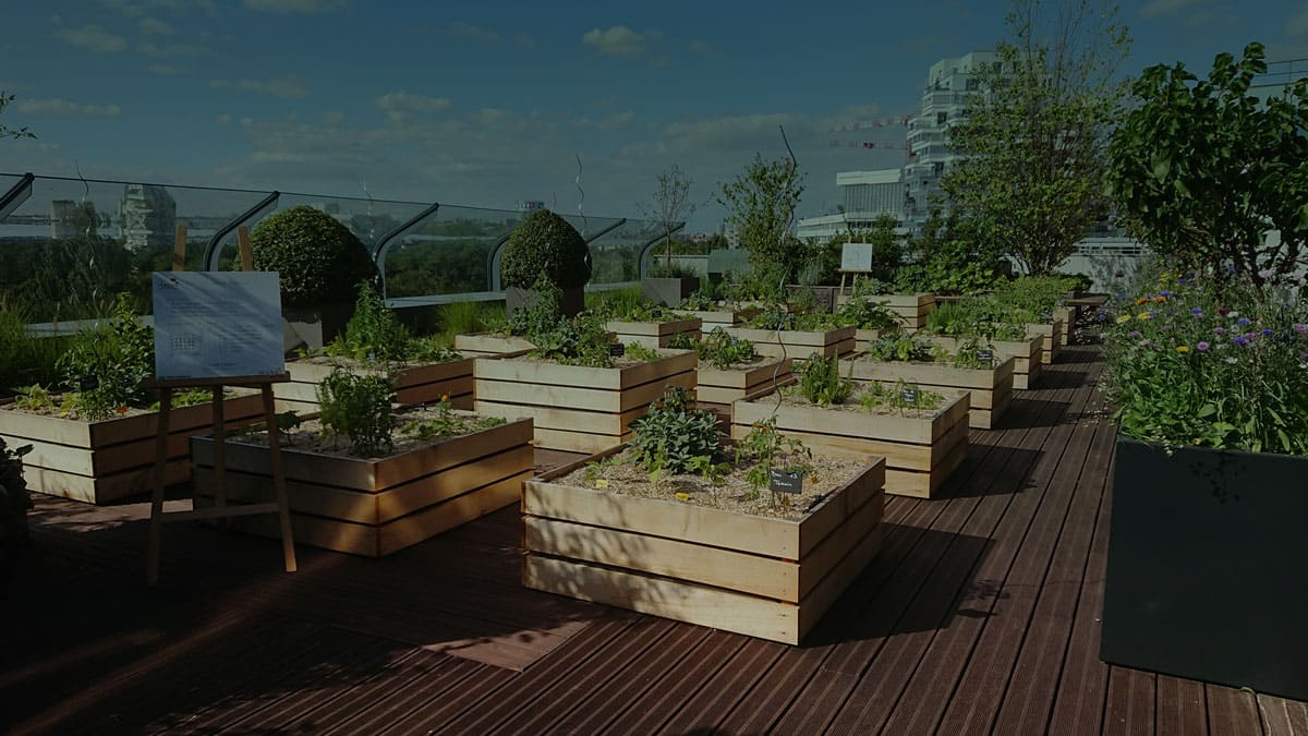 Experts en création de potager urbain pour entreprise